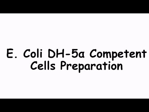 How to Prepare Chemically Competent E. coli Cells | Wet Lab Protocol