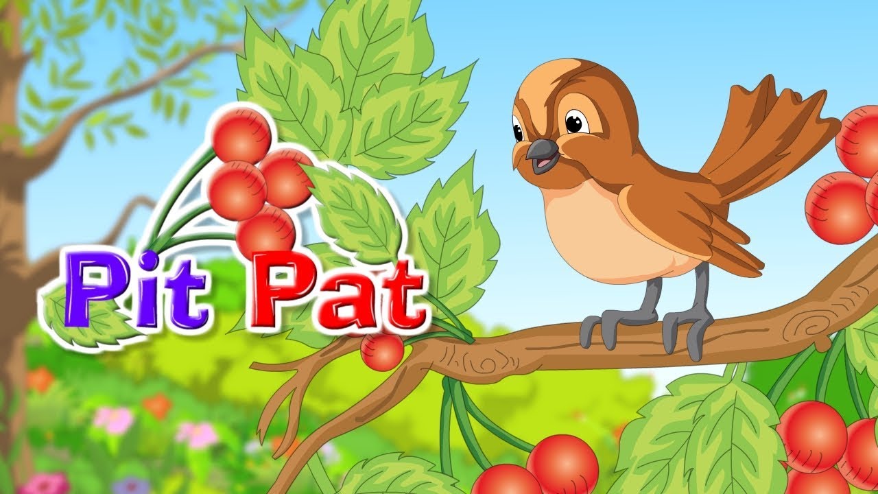 PIT PAT | Popular Kids Songs and Nursery Rhymes | Kidda TV For Children ...
