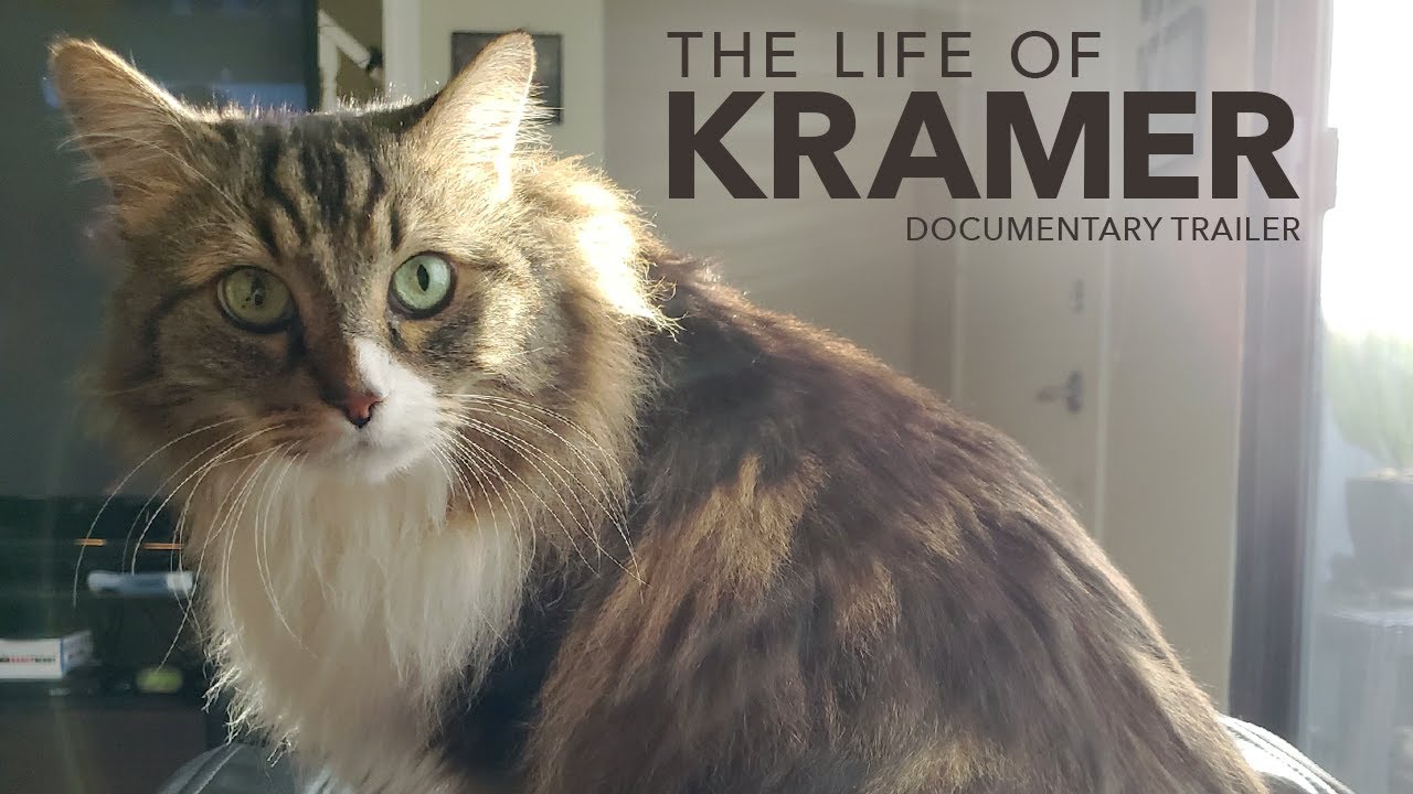 The Life of Kramer - Documentary series trailer - YouTube