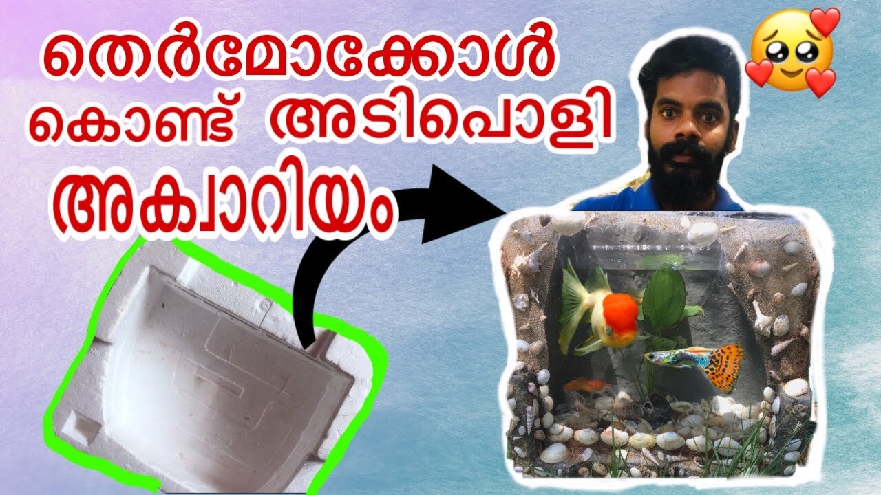 തെർമോക്കോൾ കൊണ്ട് അടിപൊളി അക്വാറിയം ഉണ്ടാകാം | How to make aquarium ...