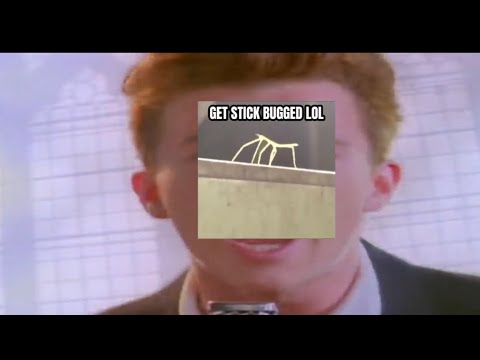 Getting stick bugged is the new Rick roll - YouTube