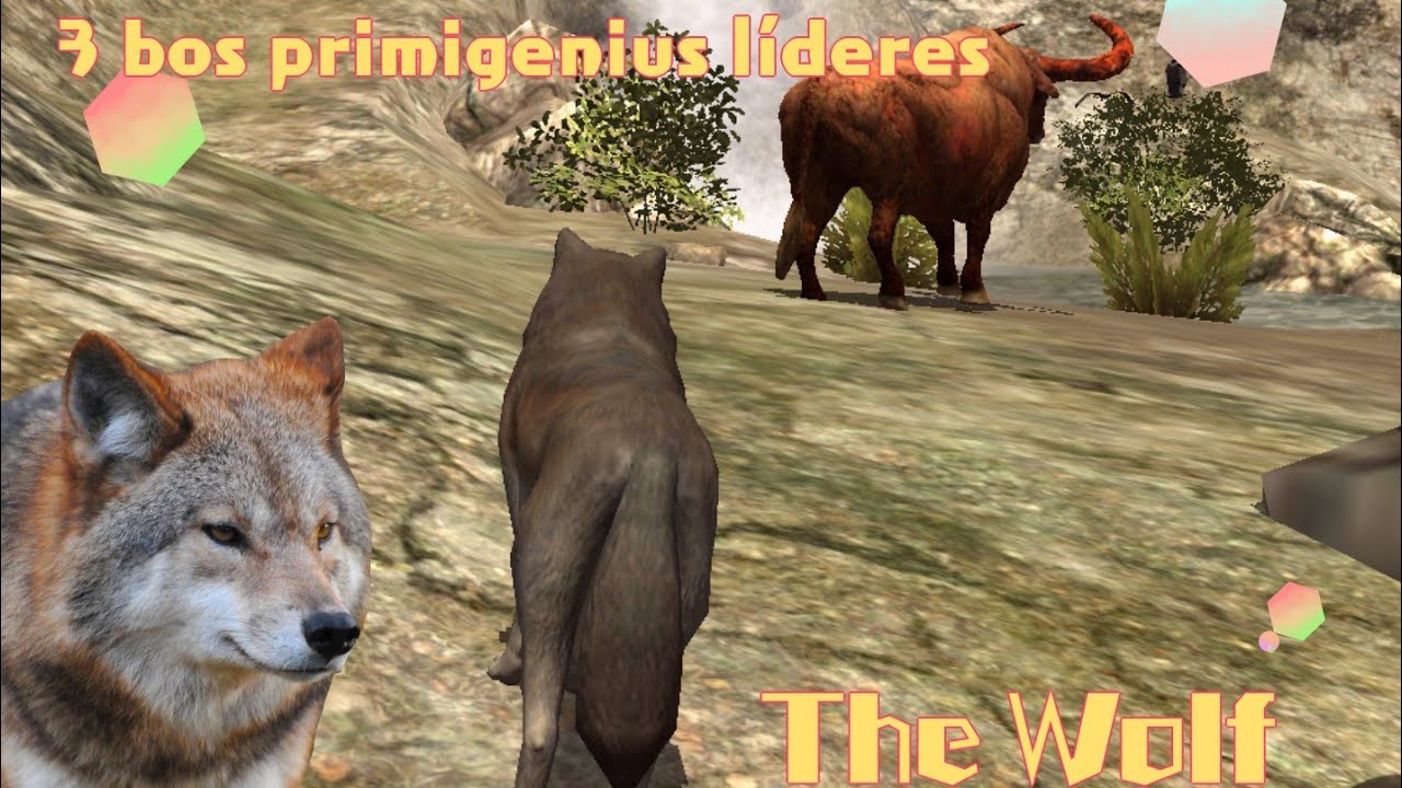 3 bos primigenius líderes - YouTube