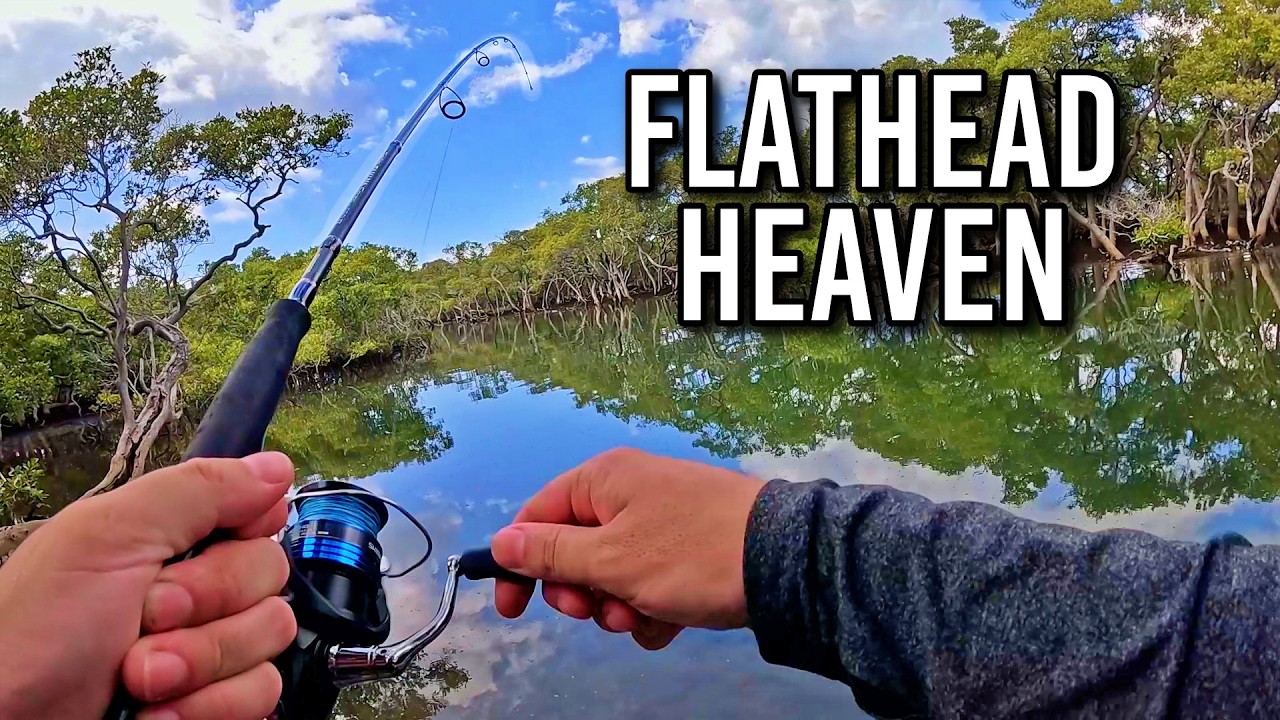 Flicking Soft Plastics in the Estuaries of Botany Bay - YouTube