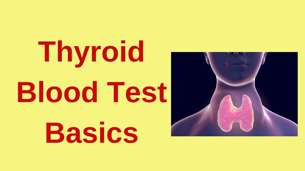 Which Thyroid Blood Tests Should You Do YouTube which-thyroid-blood-tests-should-you-do-youtube