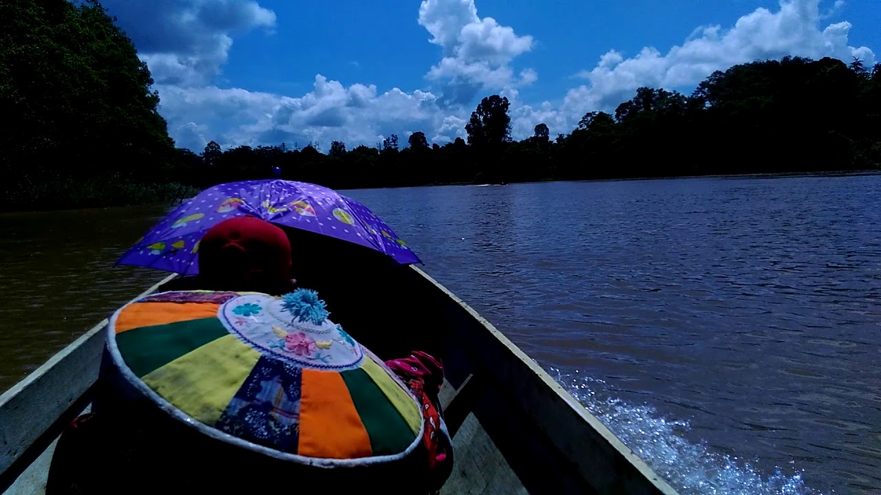Menegangkan Perjalanan Muara Ancalong ke Busang Kutai Timur Hanya ...