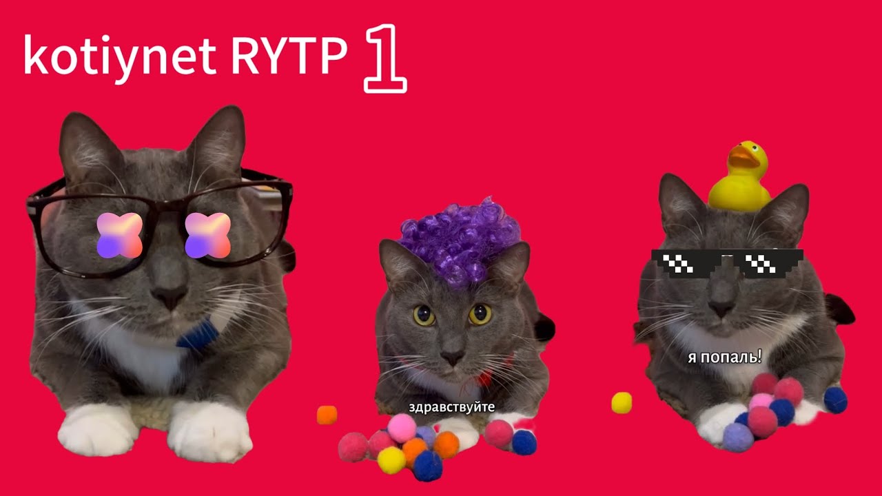 kotiynet RYTP 1 Первое Шибздабря - YouTube
