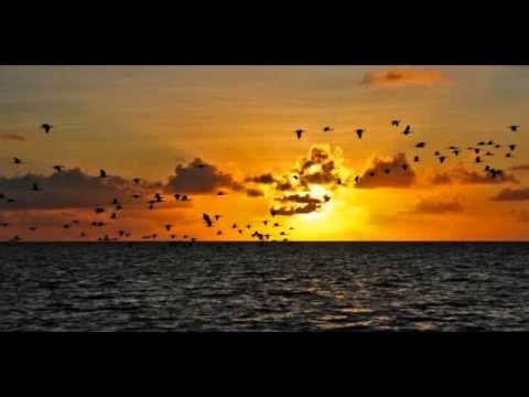 Coldplay - Fly On - HQ