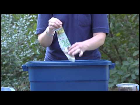 Composting In The Classroom - YouTube