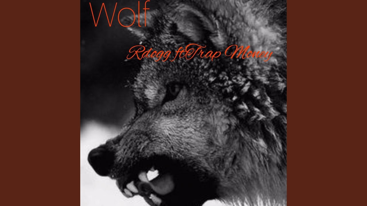 Wolf - YouTube