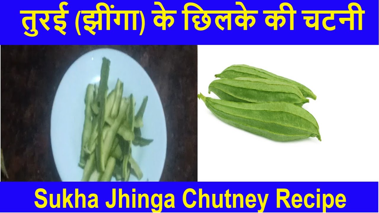 तुरई (झींगा) के छिलके की खट्टा मीठा चटनी | Sukha Jhinga Chutney Recipe ...