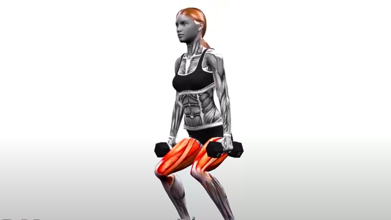 Best Exercises for Legs Muscle Transformation - YouTube