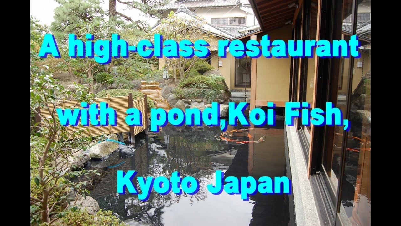 A high-class restaurant with a pond,Koi Fish,Kyoto Japan-Keihan Koi ...