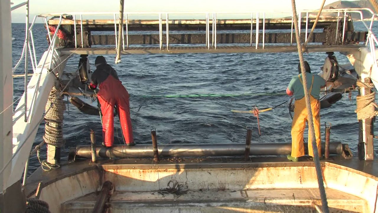 La Pesca de Arrastre - YouTube