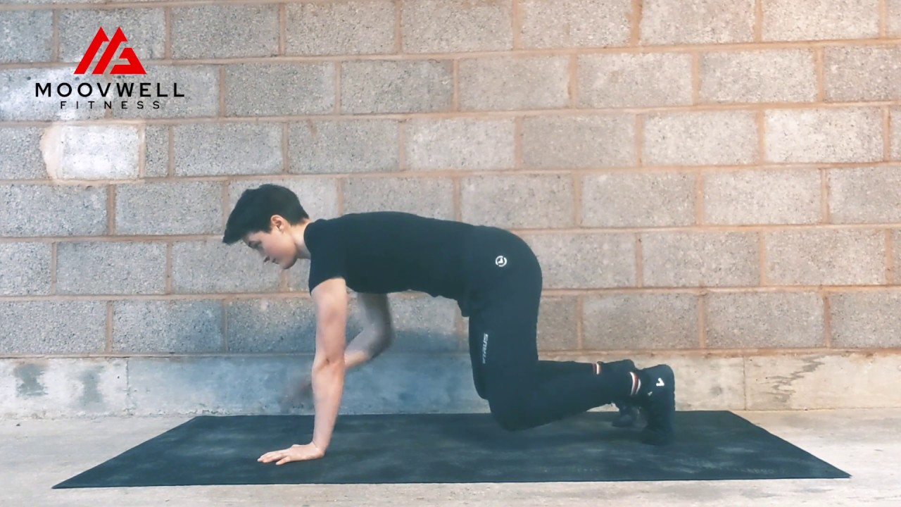 Bear Crawl Shoulder Taps - YouTube