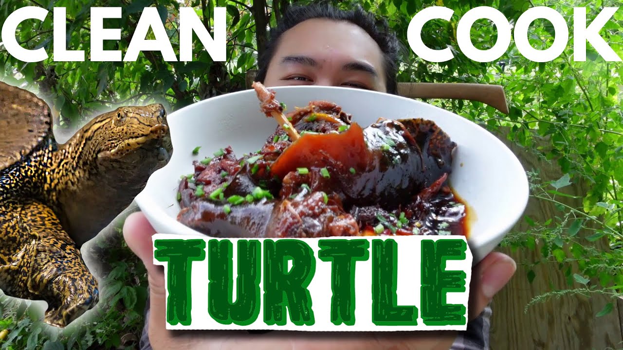 Clean Cook Eat Soft Shell Turtle - Slow Braised TURTLE PAWS - YouTube