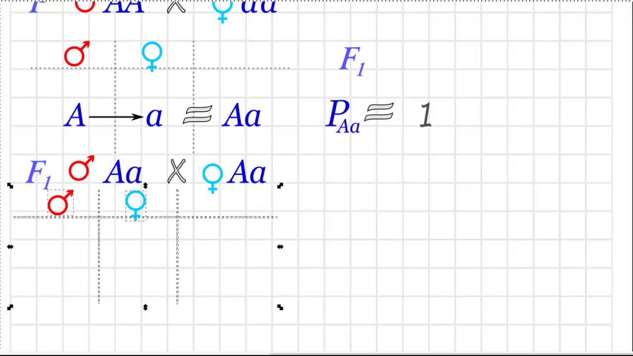 F1 y f2 del monohibrido con la cadena de Markov - YouTube