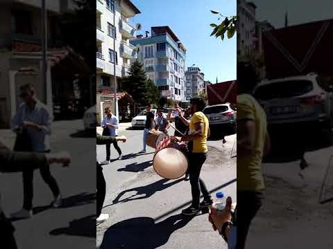 Davulcu