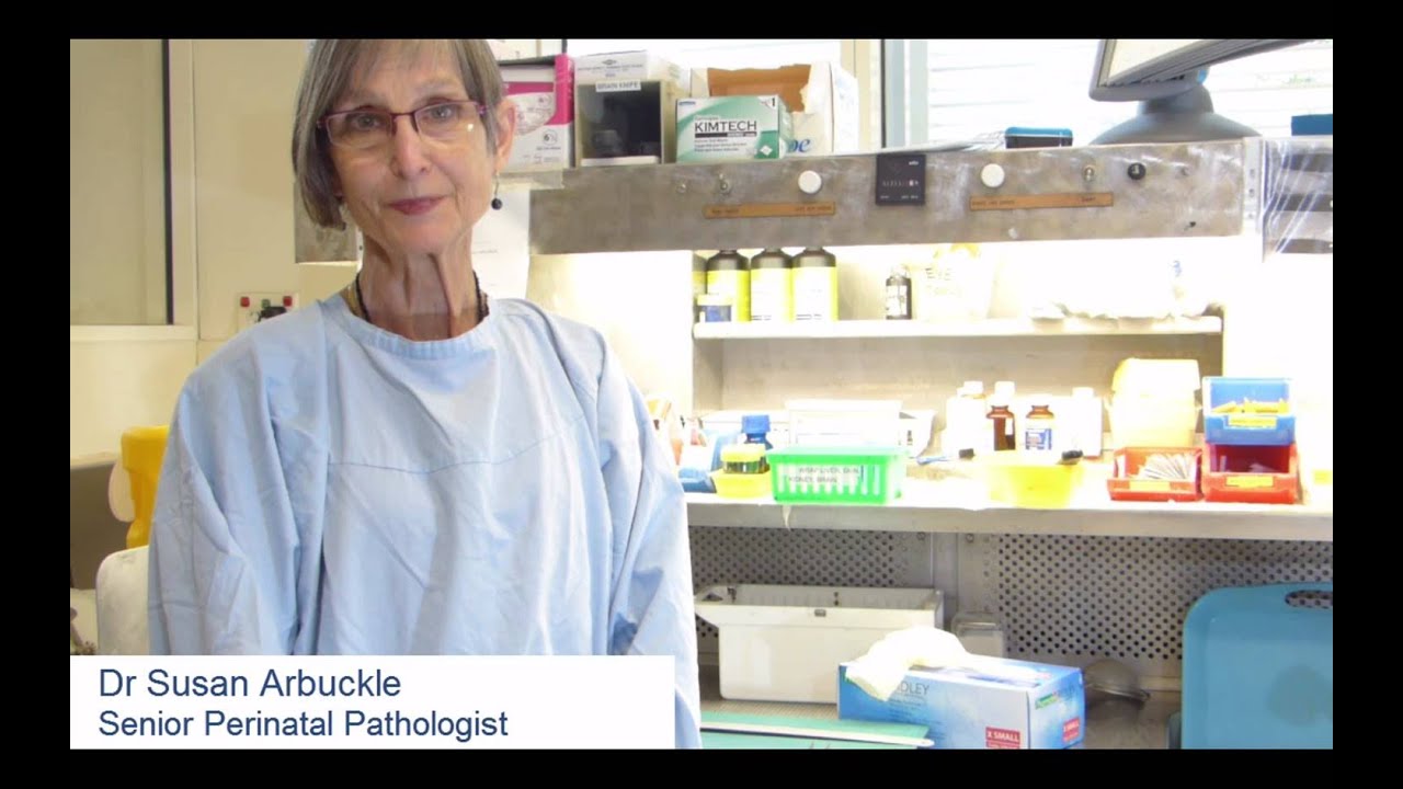 Placenta Subamniotic Swab Tutorial - for medical professionals - YouTube