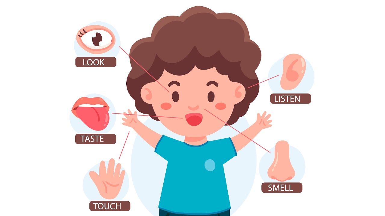 Body Parts | Body Part For Kids | Nursery Rhymes #nose #bodyparts #hand ...