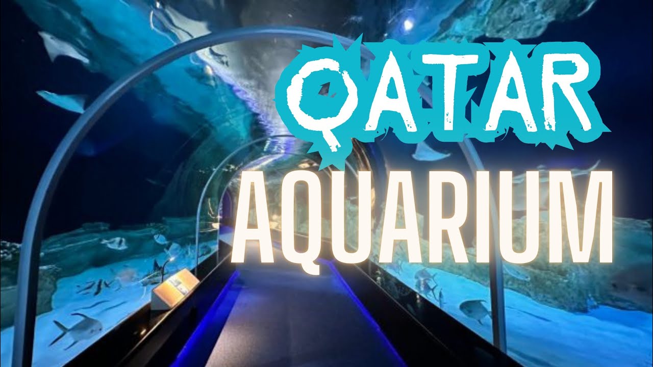 DOHA QATAR PORT AQUARIUM - YouTube