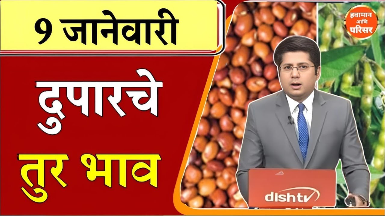 तूर भावात प्रचंड मोठी तेजी| आजचे तूर बाजार भाव|turiche bhav today live ...