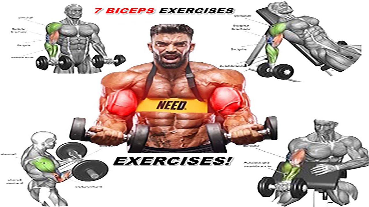 7 BEST EXERCISES FOR BIG Biceps - YouTube
