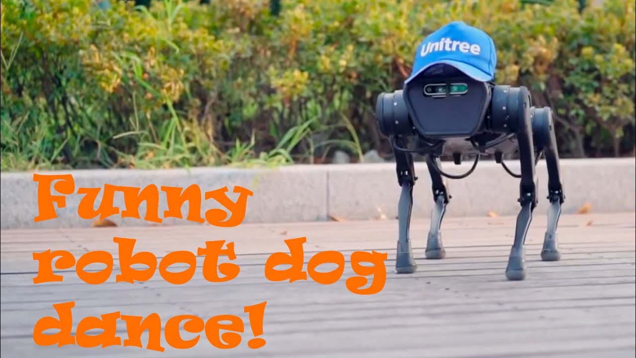 Funny robot dog dance! - YouTube
