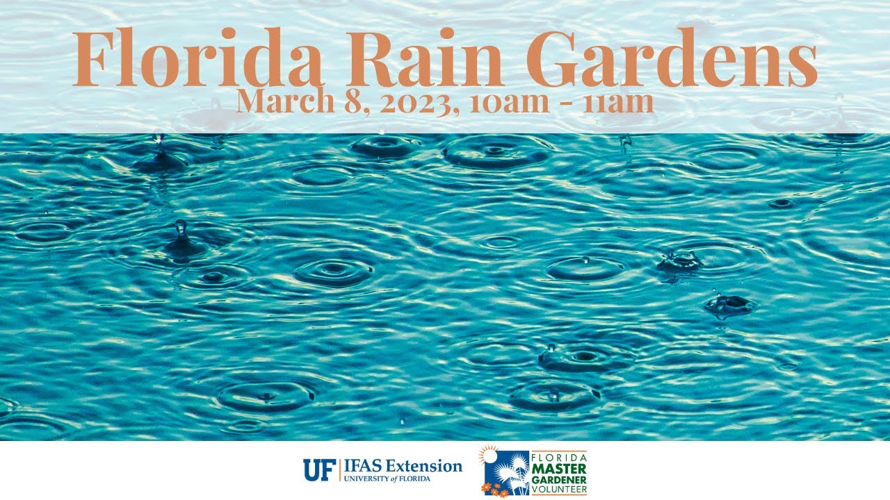 Webinar: Florida Rain Gardens - YouTube