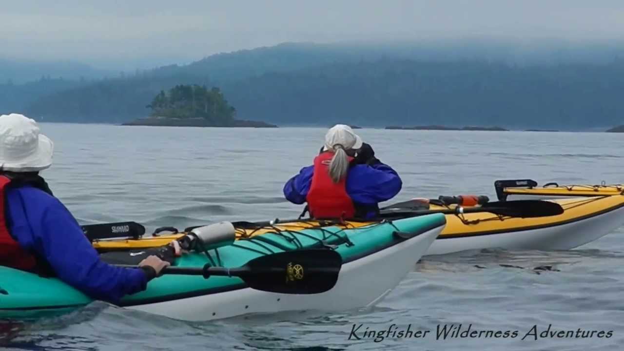 Humpback Whale Surfaces and Dives Near Kayakers - YouTube