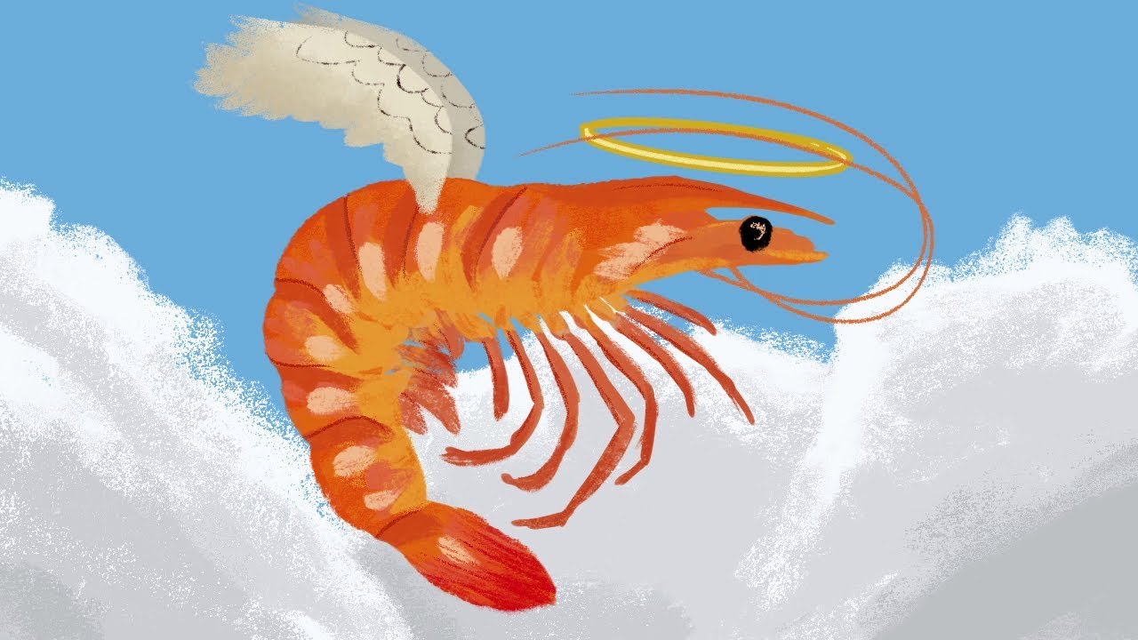 Shrimp Heaven Now Animation - YouTube