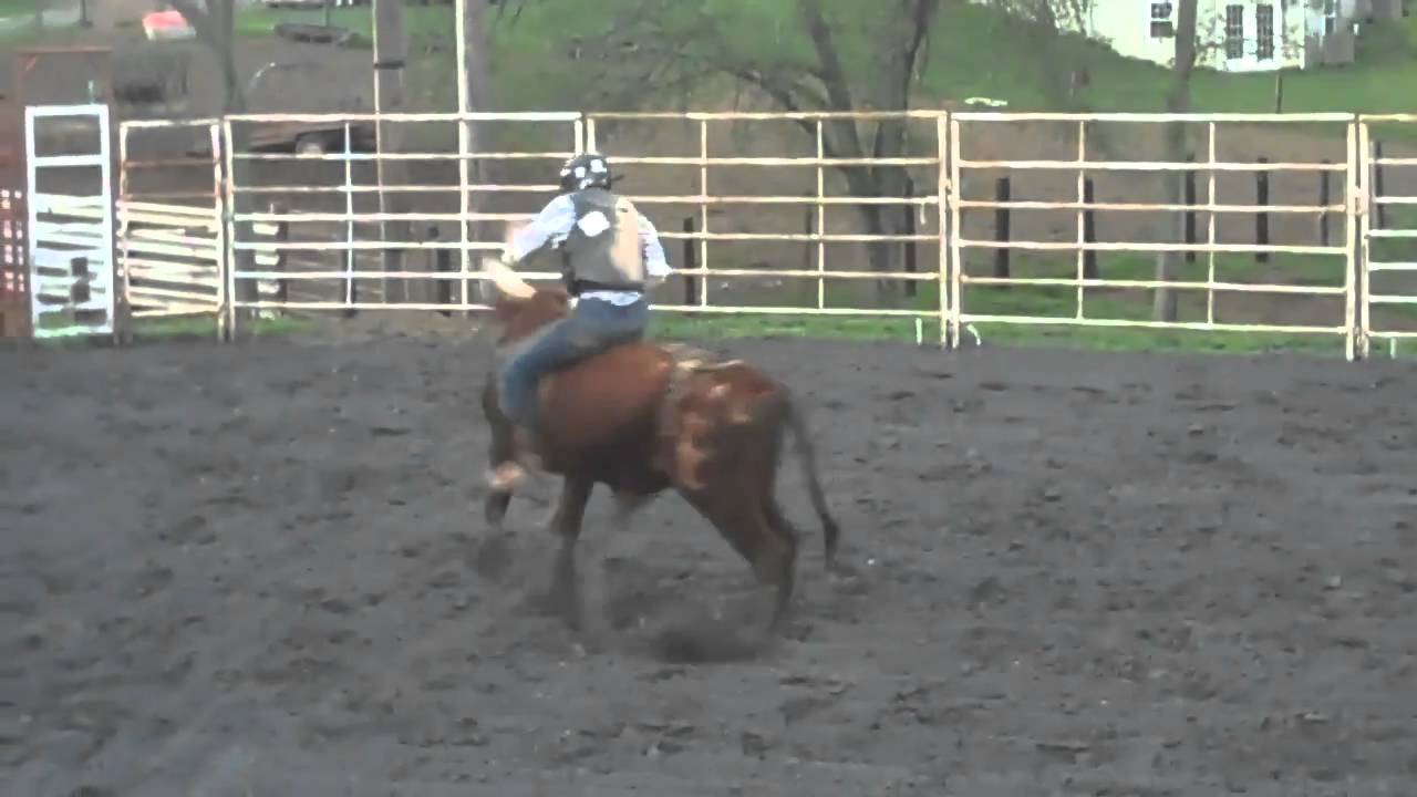 Buck Wild Rodeo Co. Practice Pen 4/27/11 - YouTube