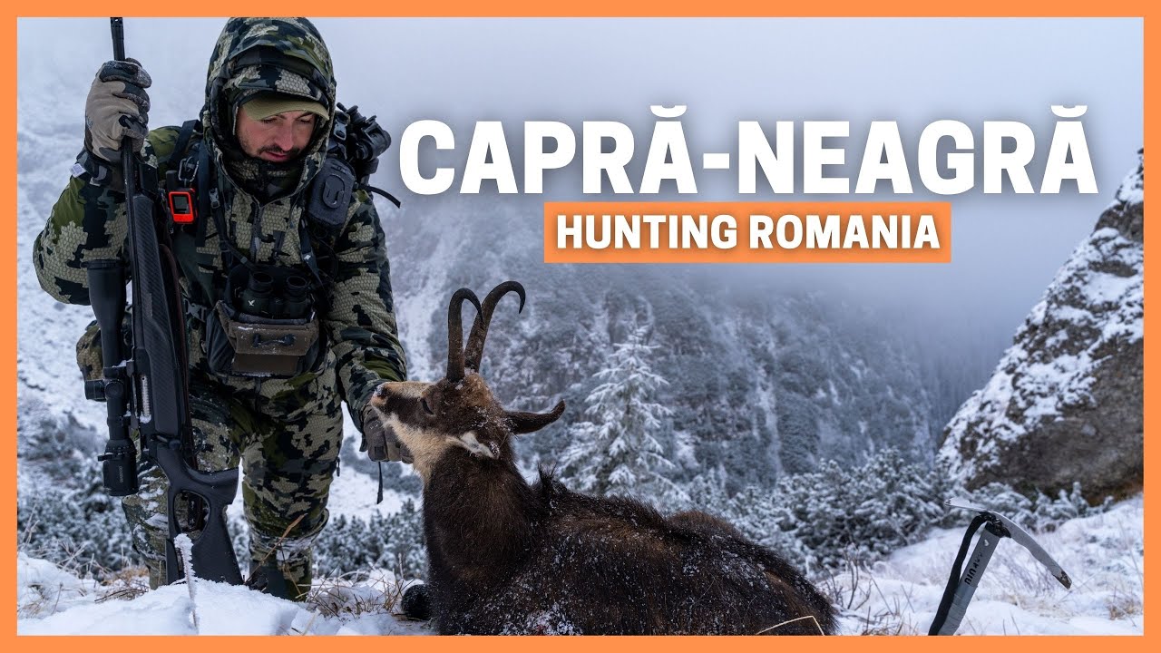 CHAMOIS HUNT ROMANIA 🔥 MOUNTAIN HUNTING CARPATHIAN CHAMOIS 🔥 CAPRA ...