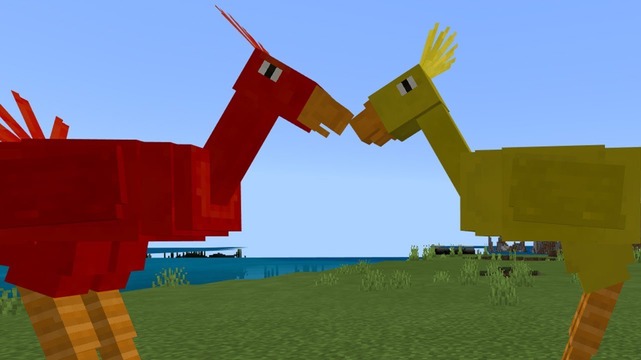 Minecraft Bedrock - Chocobo Expansion Addon - YouTube