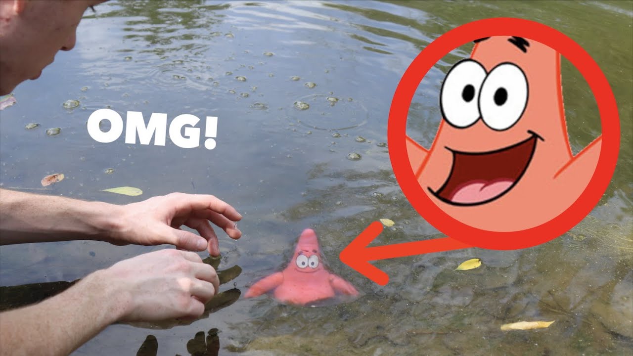 Real Life Patrick And Spongebob
