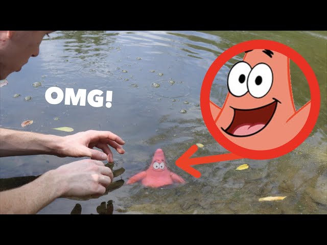 The Real Patrick Star