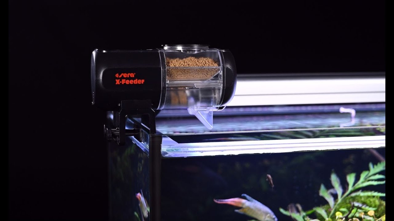 sera X-Feeder – Der Futterautomat der neusten Generation - YouTube
