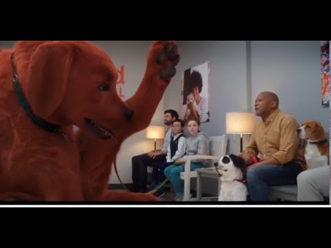 Анонсы и заставки Nickelodeon (4.12.2021)