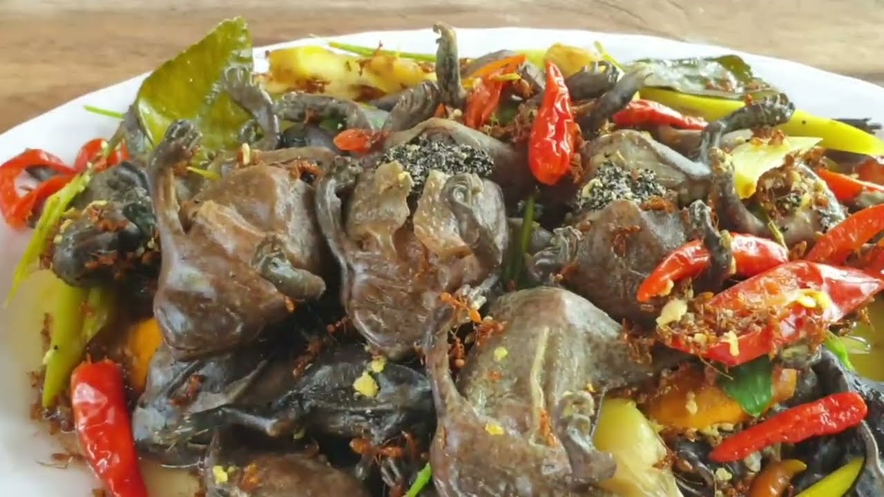 OMG Look at Cooking Frogs so Amazing #45 - YouTube