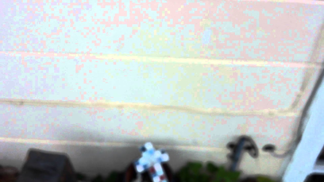 Spiderworm, Spiderworm... - YouTube