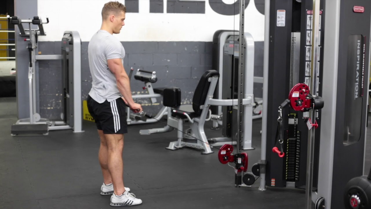 Cable Squats - YouTube