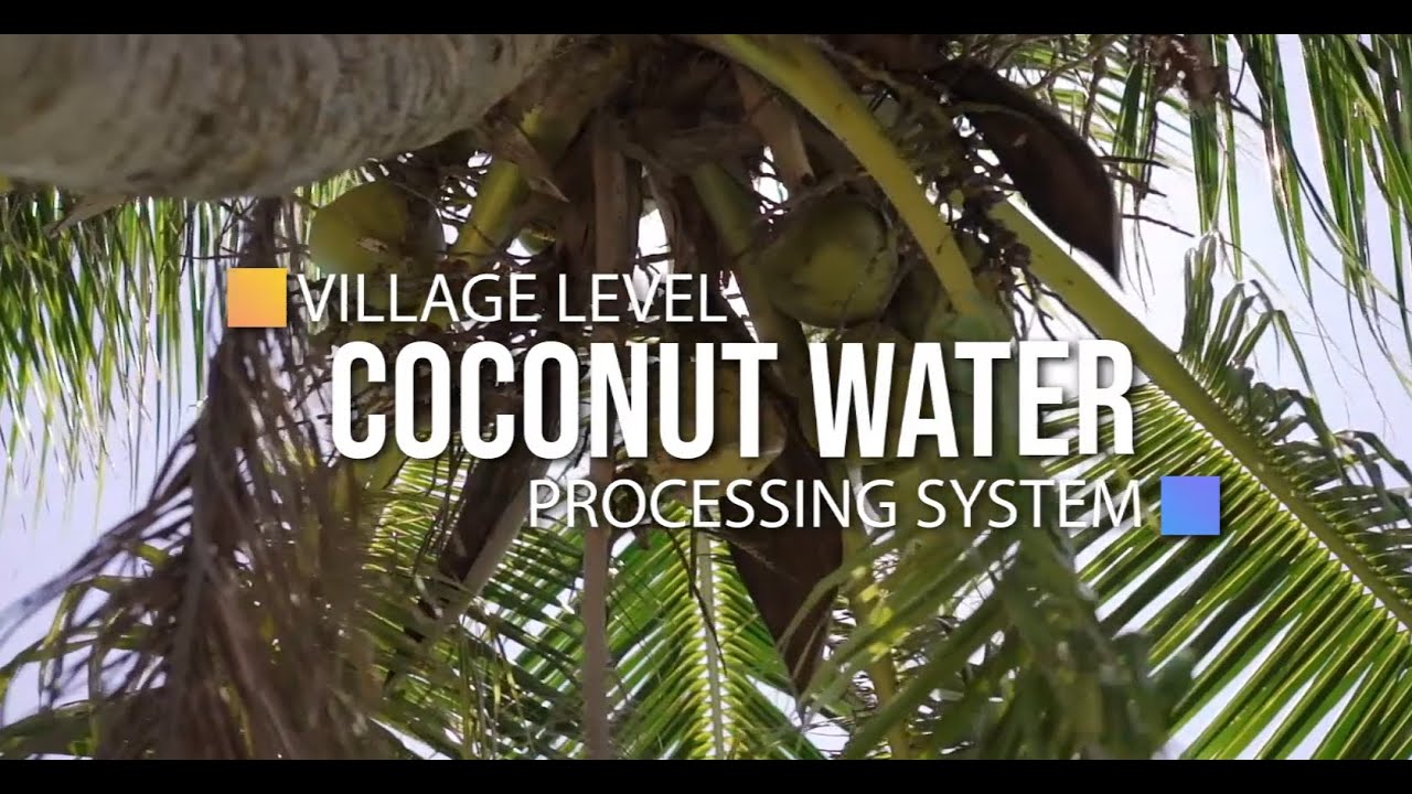 Village Level Coconut Water Processing System - YouTube