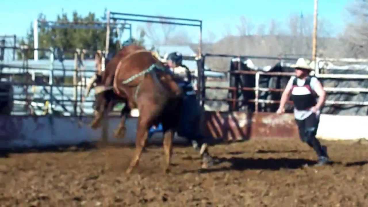 bull rideing practice - YouTube
