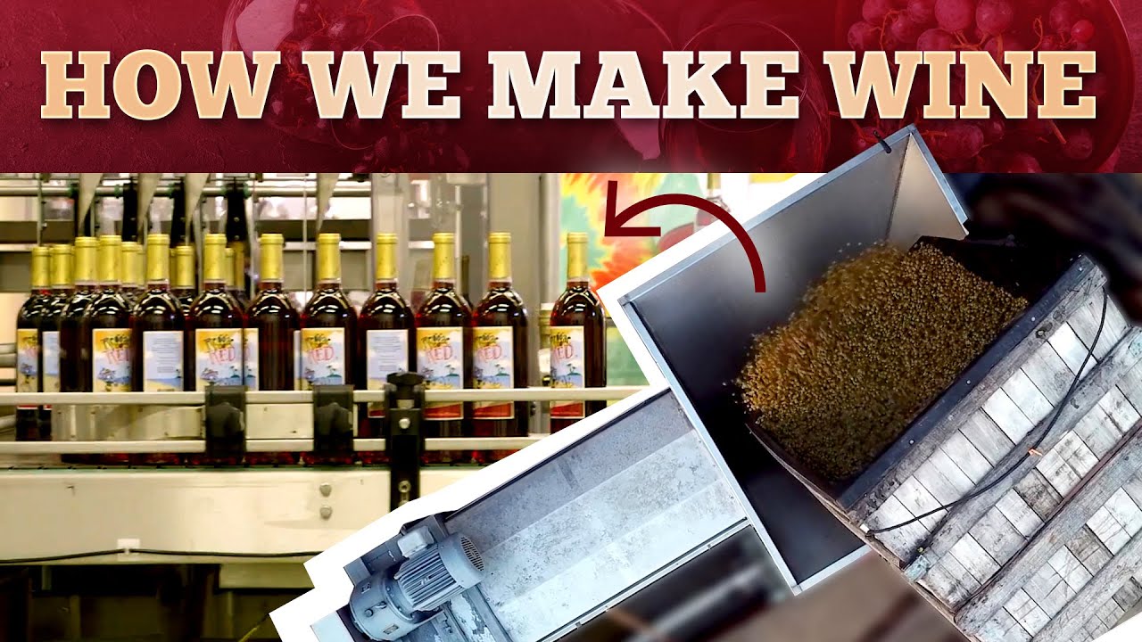 Our Wine Making Process | BTS at Easley Winery - YouTube