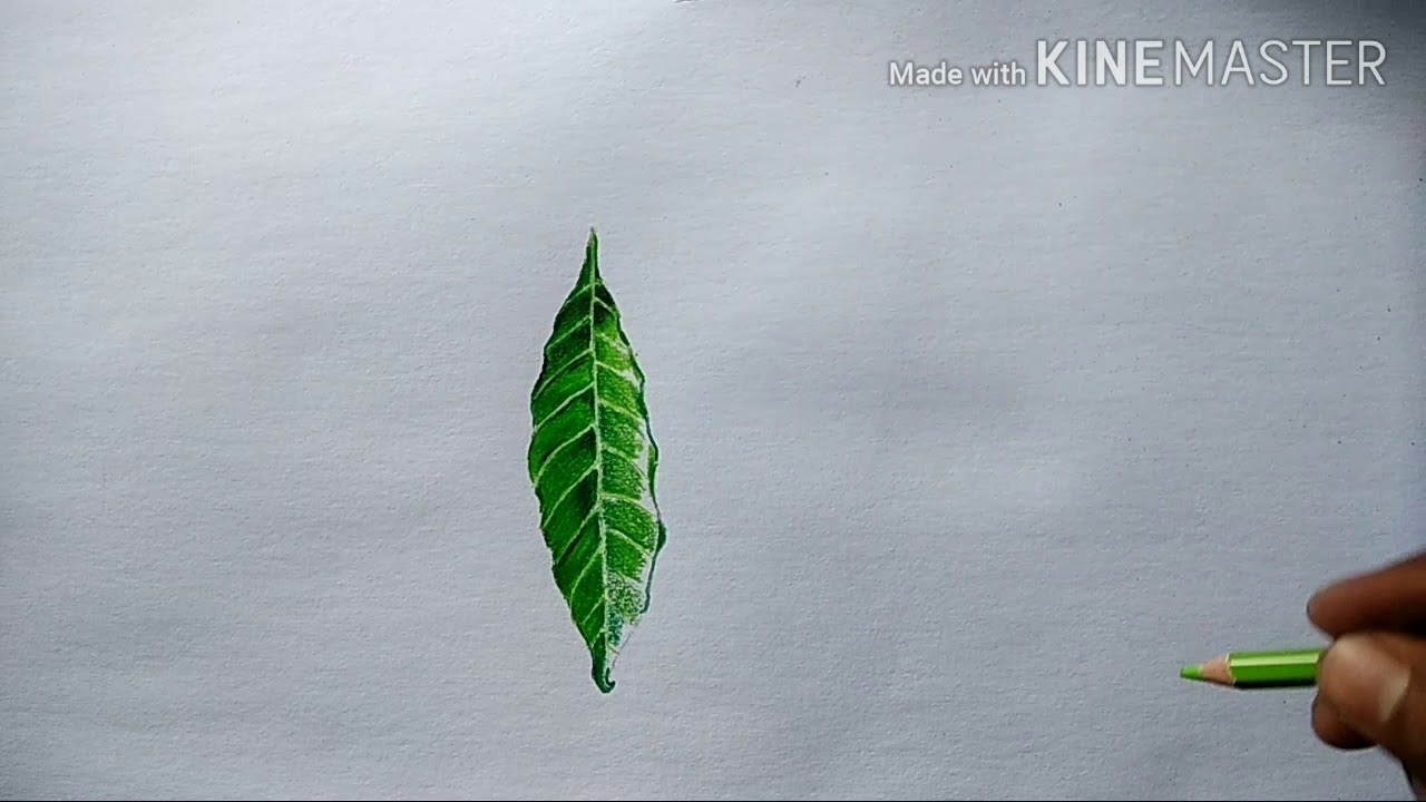 How to draw / Drawing class in tamil / drawing class / drawing tutorial ...