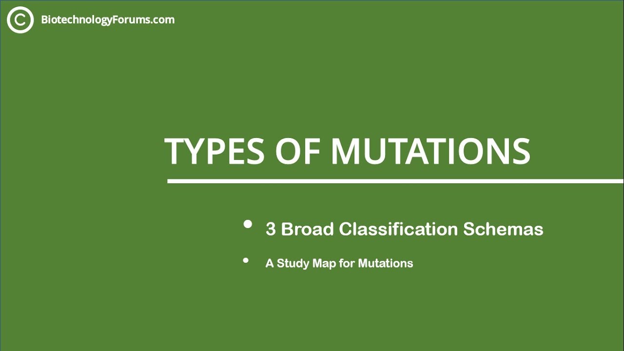 Types of Mutations | Induced, Spontaneous, Germline and Somatic ...