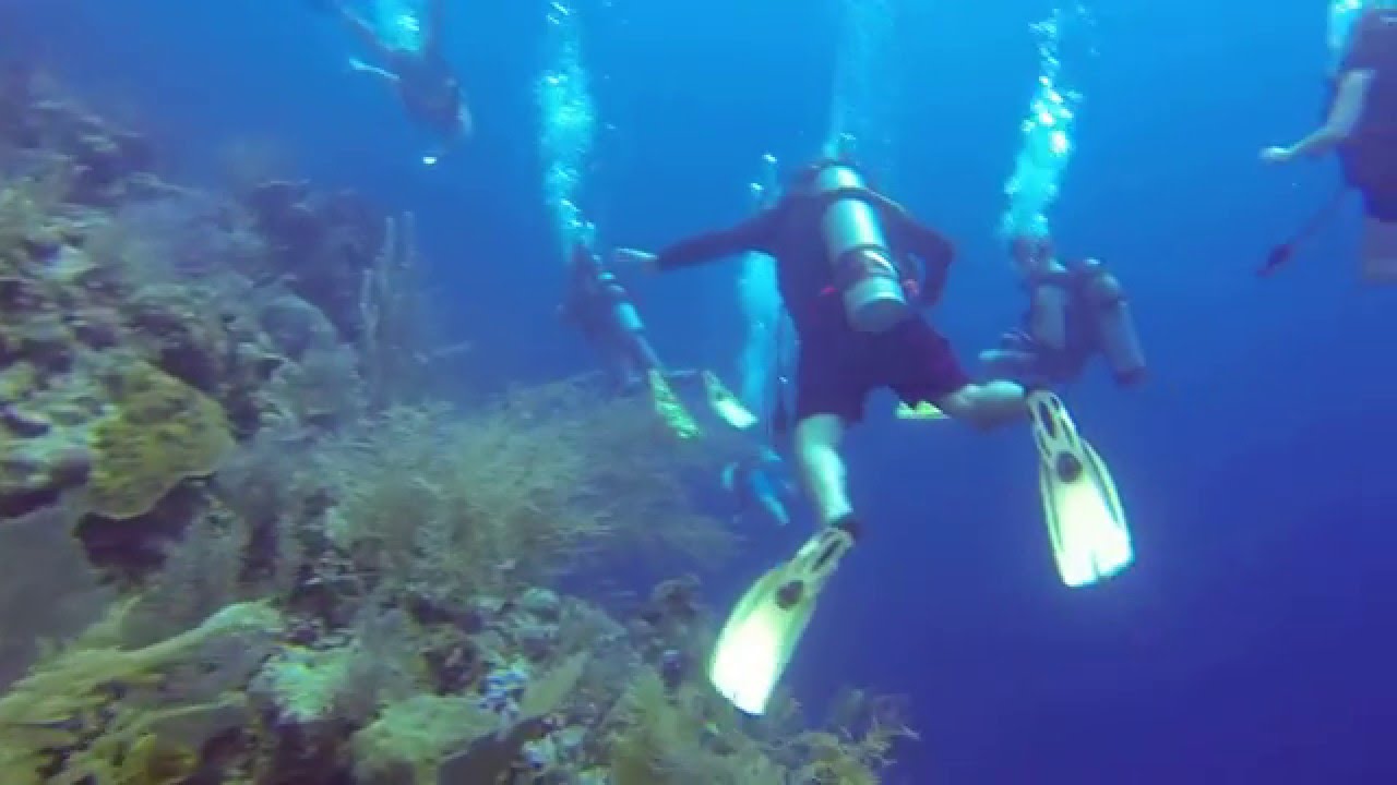 Scuba Diving in Grand Turk overlooking the 7,000' drop off - YouTube