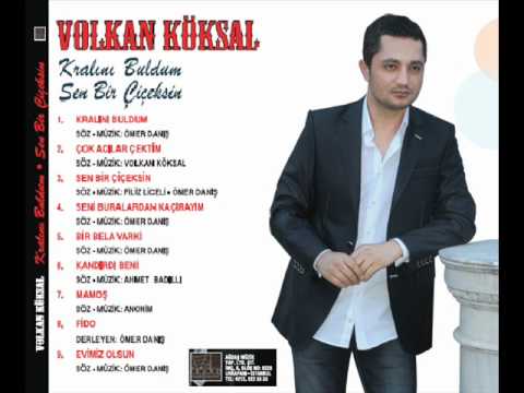 Volkan Köksal 2011 - Fido