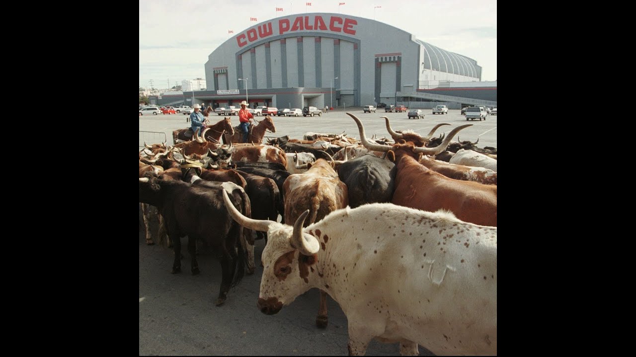 A Closer Look at The Cow Palace - YouTube
