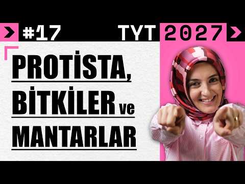 17) Protista, Bitkiler ve Mantarlar Alemi | 2027 TYT Biyoloji Kampı 17. Gün