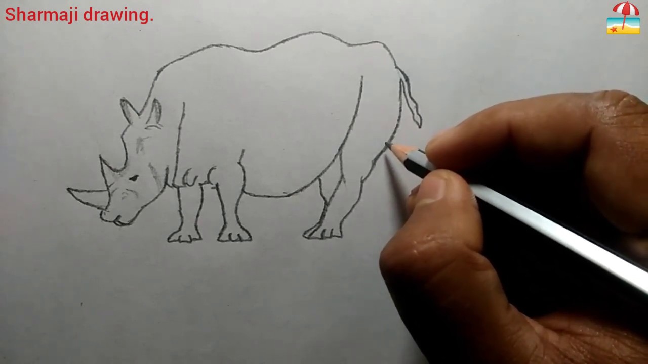 How to draw a rhinoceros, with pencil. - YouTube